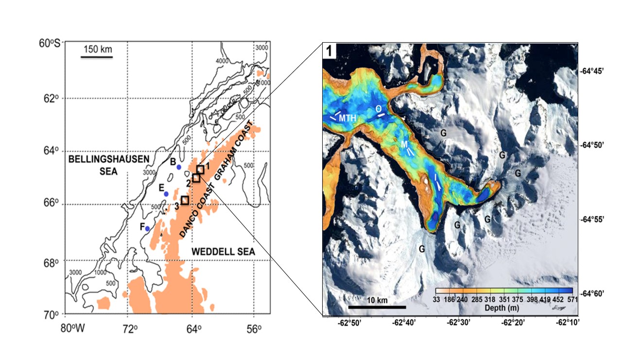 FjordEco | Craig Smith's Benthic Ecology Lab